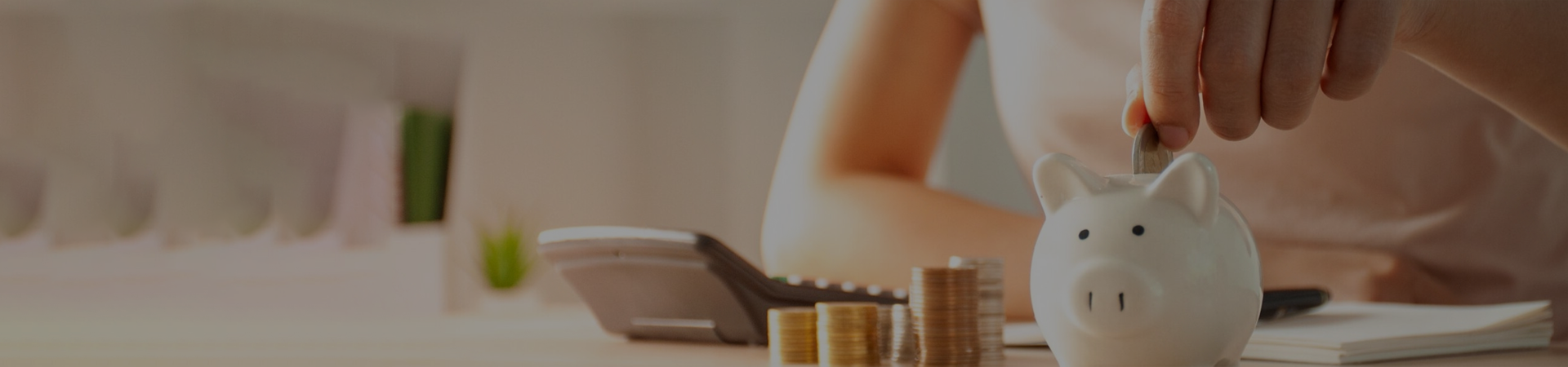 Mahaveer Bank – Mahaveer Bank